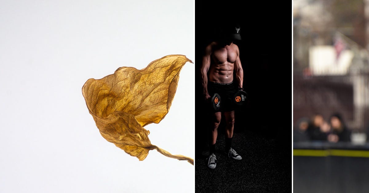 List: ERIC | Curated by Eric Roos | Medium