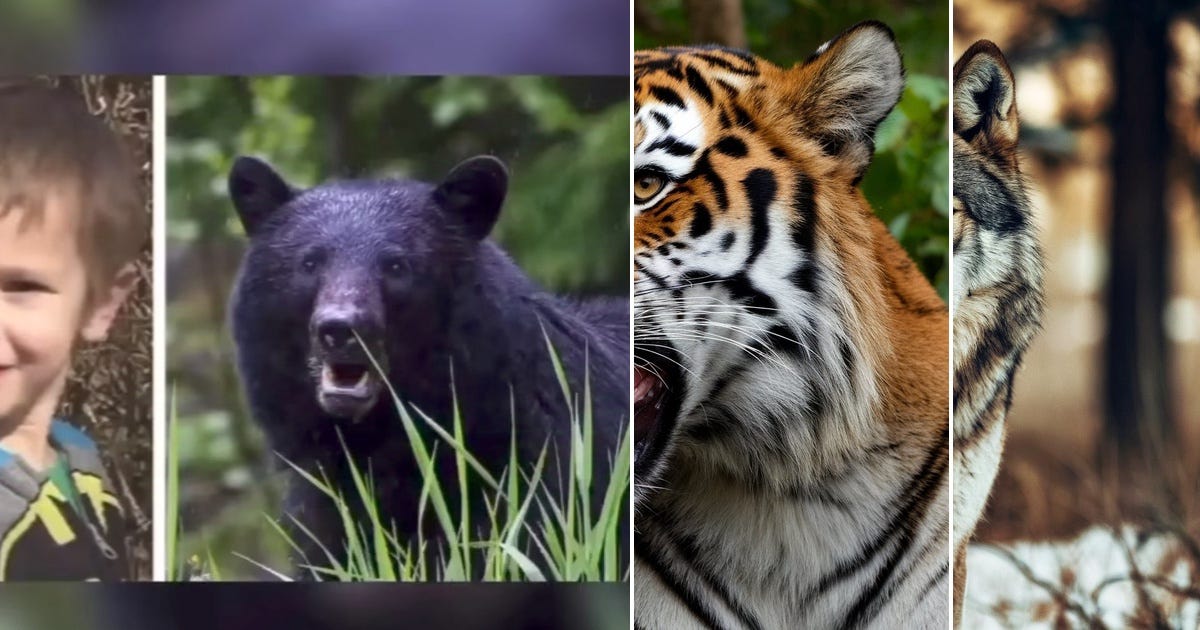 List: Nature’s | Curated by Valued A | Medium