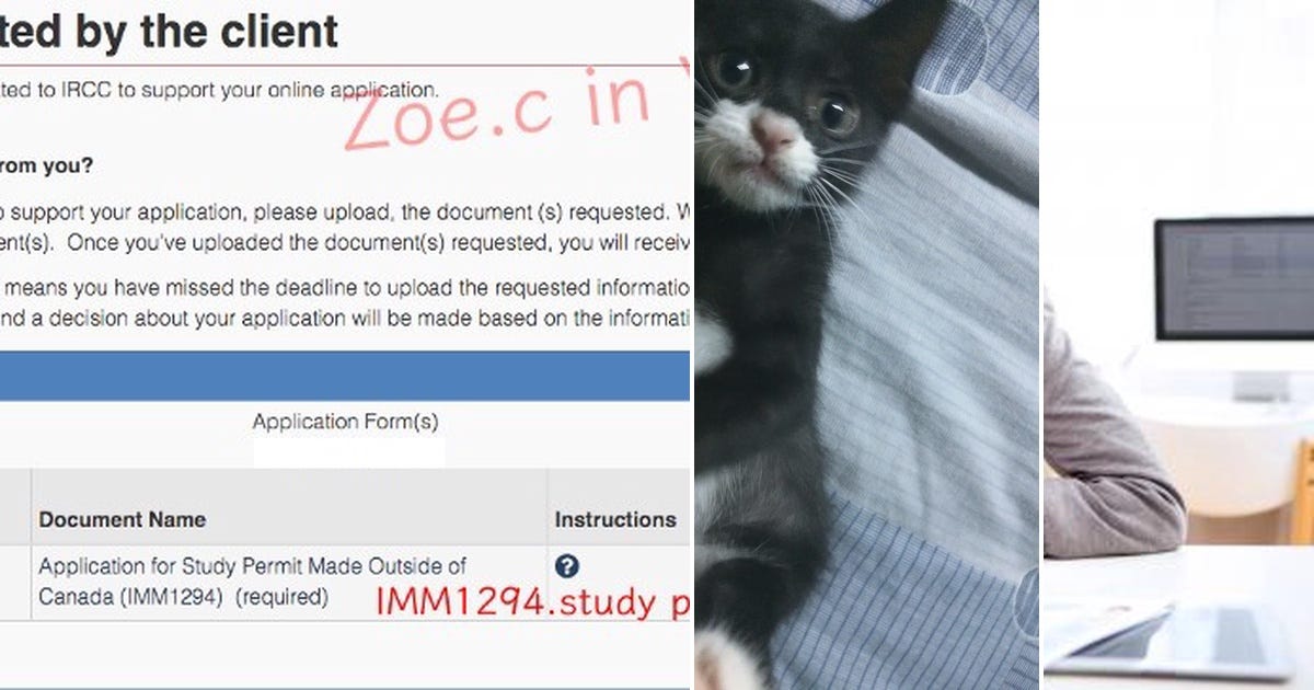 List: Canada | Curated by Ping (Genie) | Medium