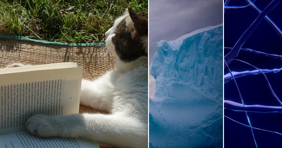 List: Pytorch | Curated by Liang Xu | Medium