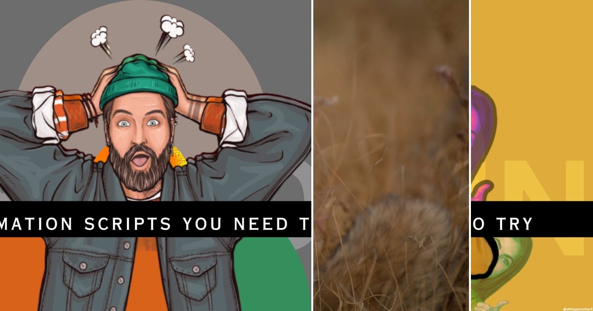 List: Python | Curated by Roger Pacheco Castro | Medium