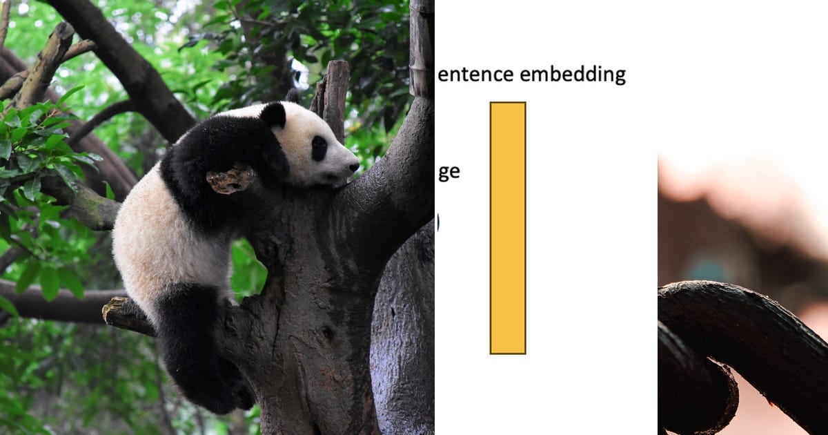 List: Pandas | Curated by Pan Cretan | Medium