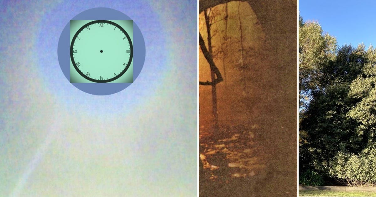 List: Reading list | Curated by Ivor Steven | Medium