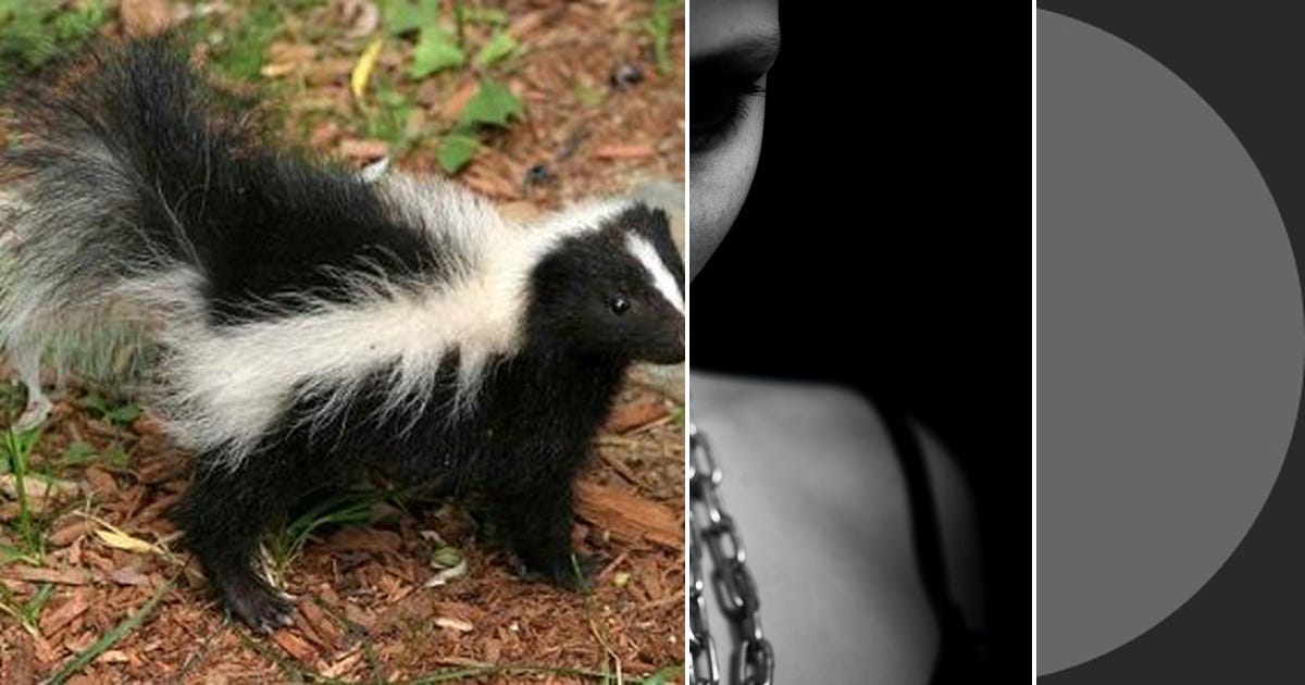 List: clean-code | Curated by Emerson Barrion | Medium