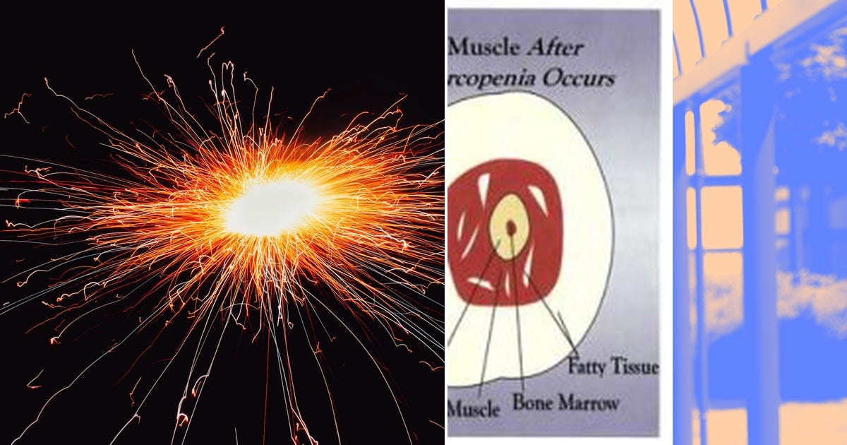 List: Longevity | Curated by Nathan Levin | Medium