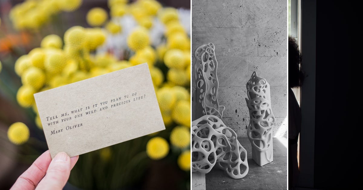 List: A walking Paradox | Curated by Aya | Medium