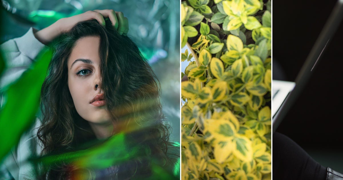 List: Medium Growth | Curated by Richard Scionti | Medium