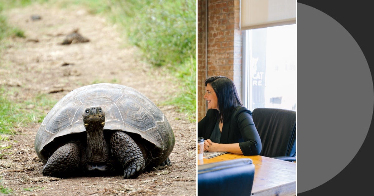 List: Coaching | Curated by Bryan Yang | Medium