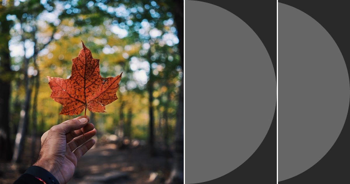 List: Blog | Curated by Archisman Ghosh | Medium