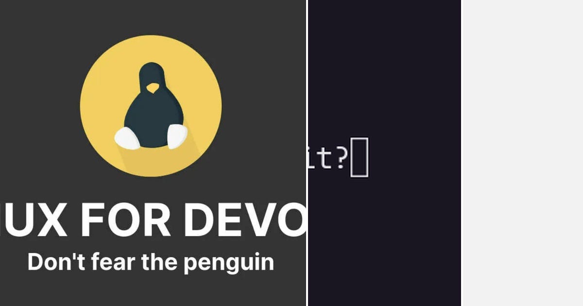 List: BASH | Curated by bruno brunt | Medium