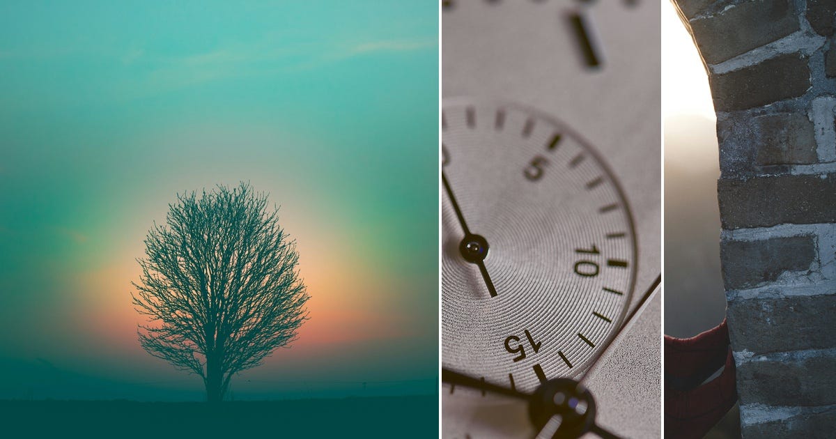 List: Lifelong Learner | Curated by Tonya Snodgrass | Medium