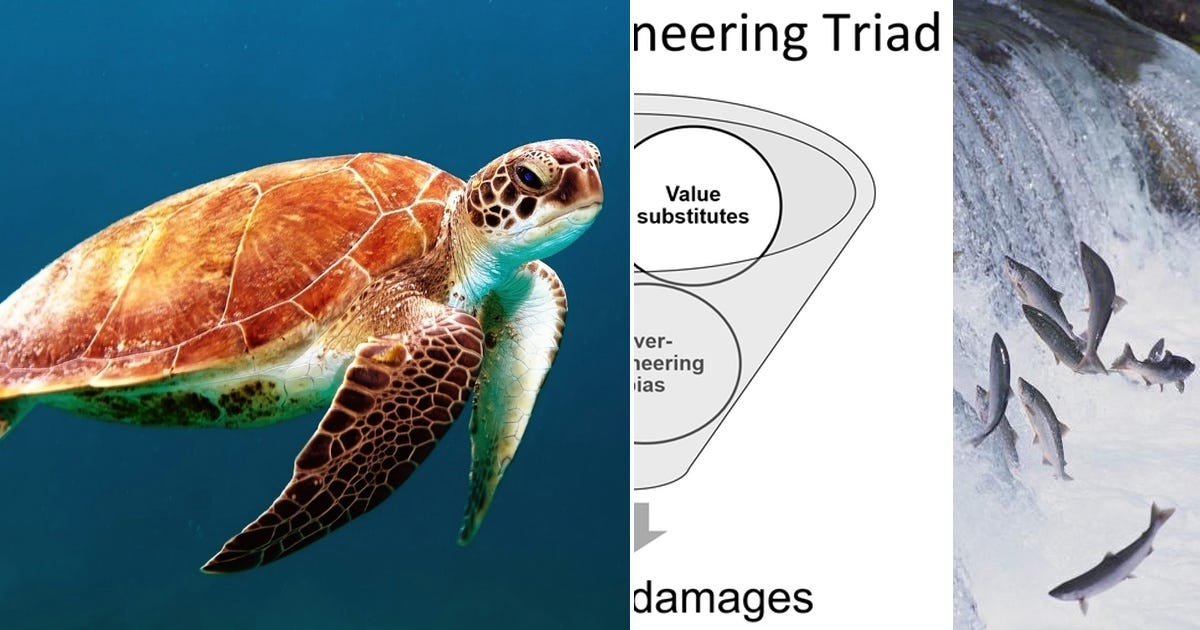 List: Development | Curated by Mark Thibault | Medium