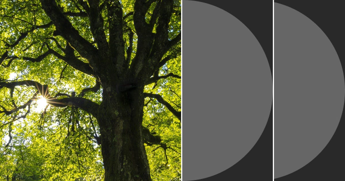 List: Python Libraries | Curated by Simon Barnes | Medium