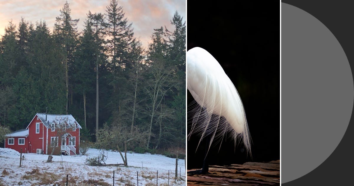 List: Beautiful Stories | Curated by Michelle Proctor | Medium