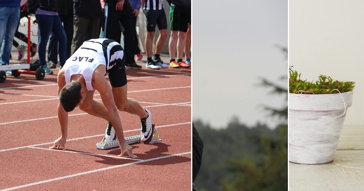 List: Storytelling | Curated by Noa Bali | Medium