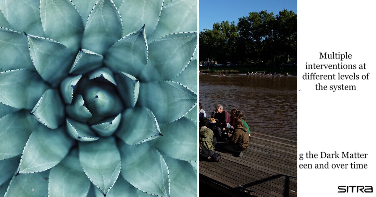 List: Complexity and Systems | Curated by Finlay Batts | Medium