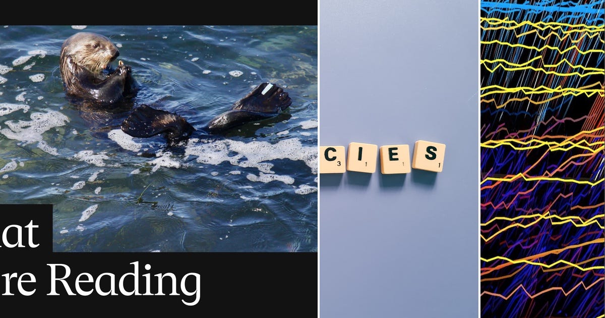 List: Audio | Curated by Harwin Jesse | Medium