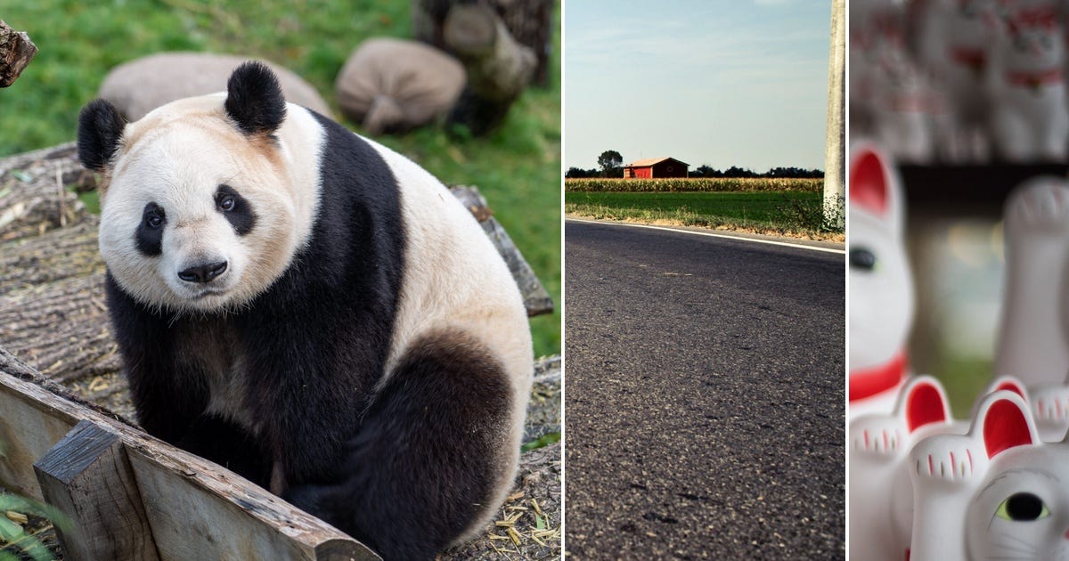 List: pandas | Curated by Piotr Malczak | Medium