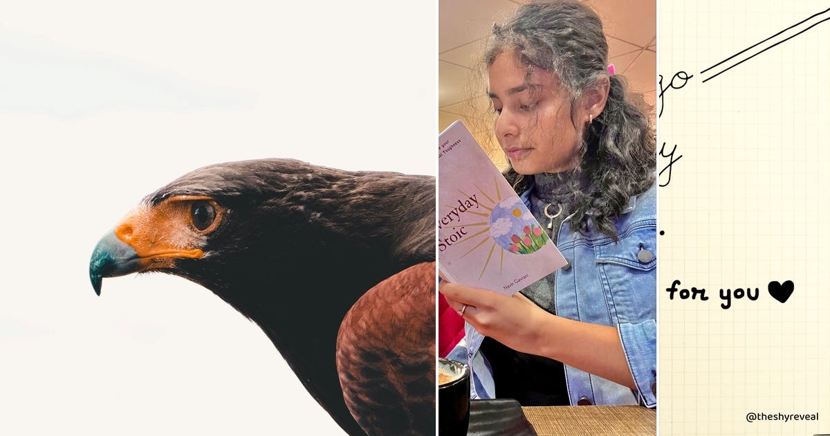 List: Fav | Curated by Rita Nur Aziza | Medium