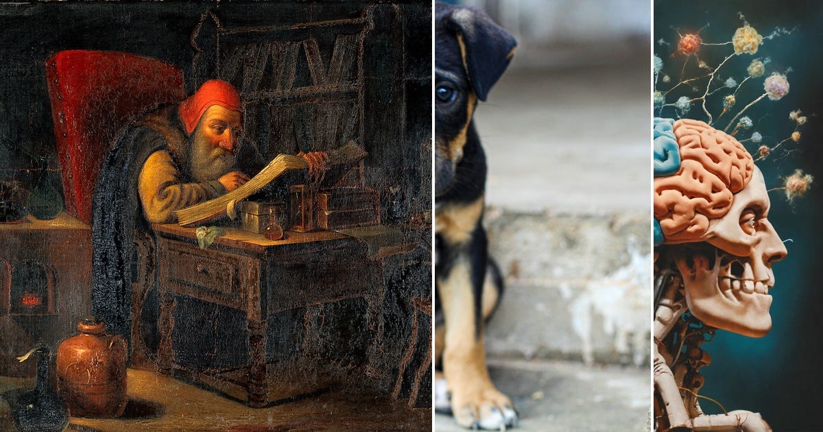 List: Exploring your mind efficiency | Curated by Timileyin Oyedele | Medium