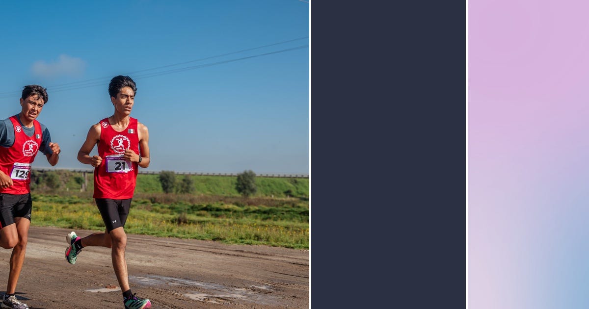 List: UX portfolio | Curated by Rob Rivera | Medium