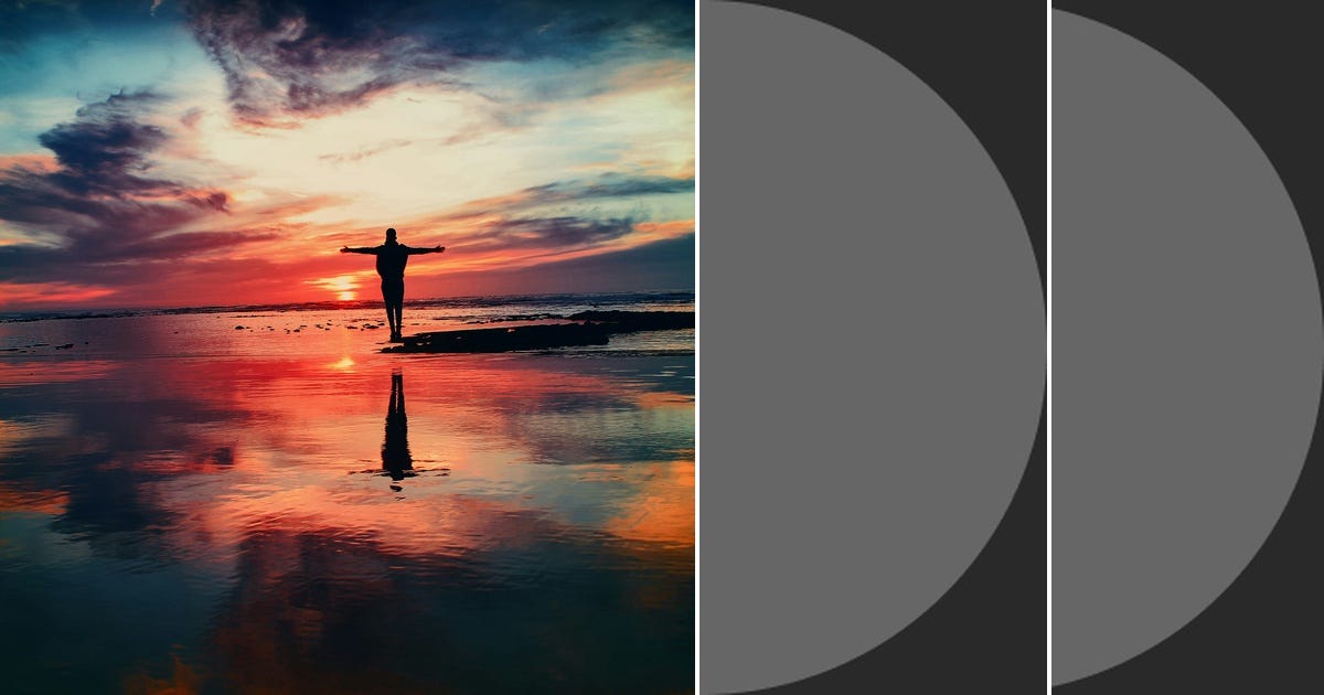 List: Mitch's best | Curated by Intelliki | Medium