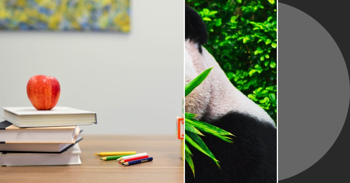 List: Pandas | Curated by Pedro Higuchi | Medium