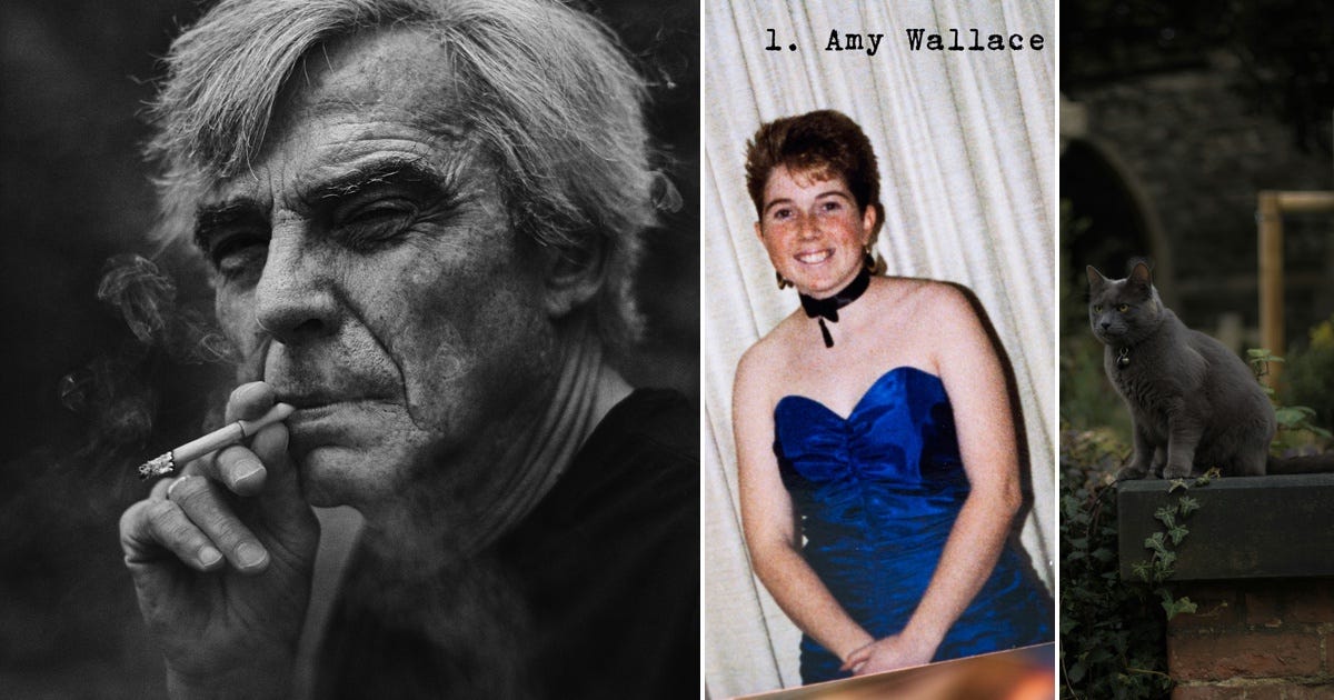 List: Randos | Curated by Tommy Wyatt | Medium