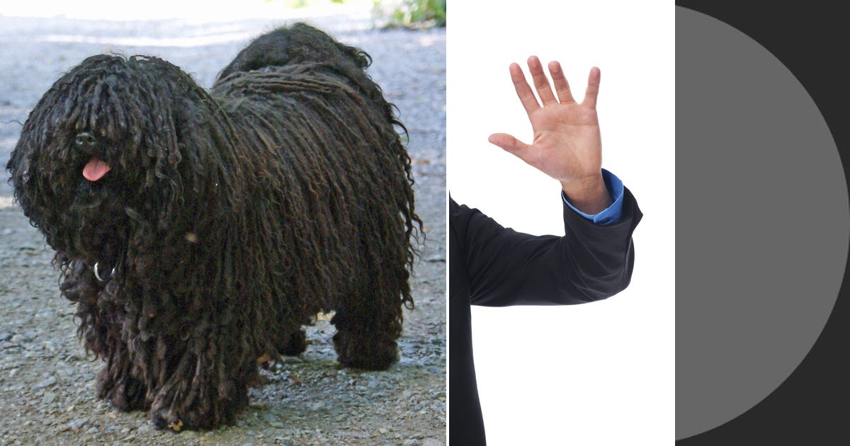 List: Challenges | Curated by Aleena | Medium