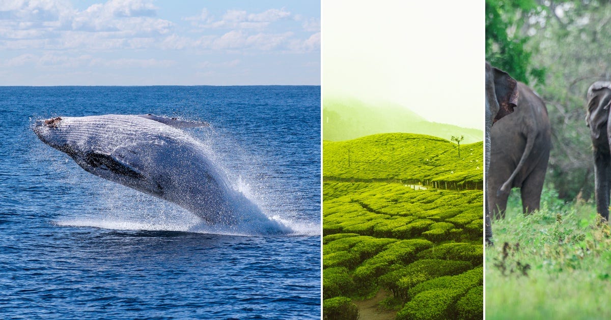 List: Wild & Nature | Curated by SkyHaven Tours | Medium