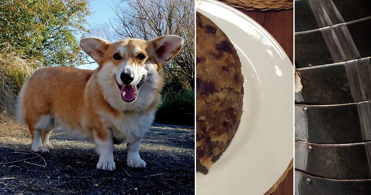 List: The One-Minute Facts Collection | Curated by CarolF | Medium