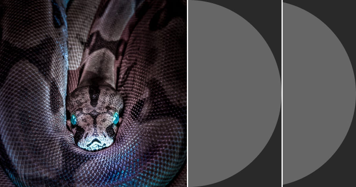 List: Python | Curated by Nihal Thakur | Medium