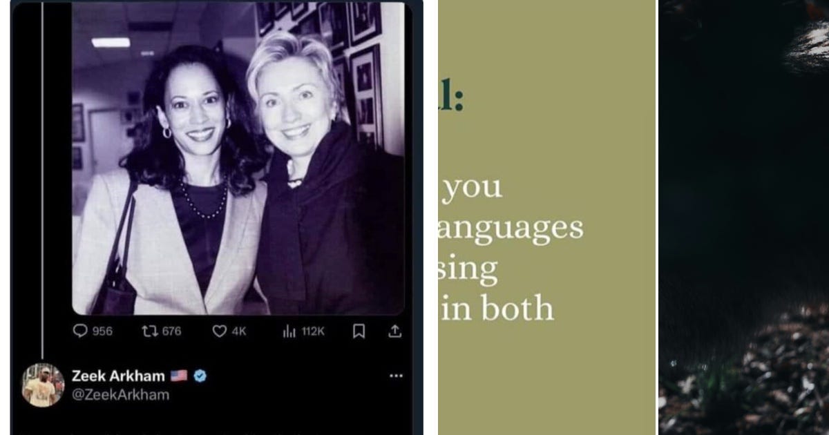 List: Reading list | Curated by Valente | Medium