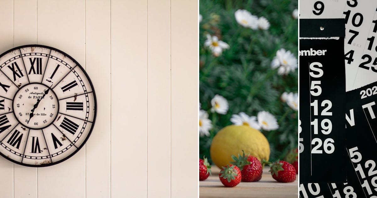 List: pandas | Curated by Florentarizo | Medium