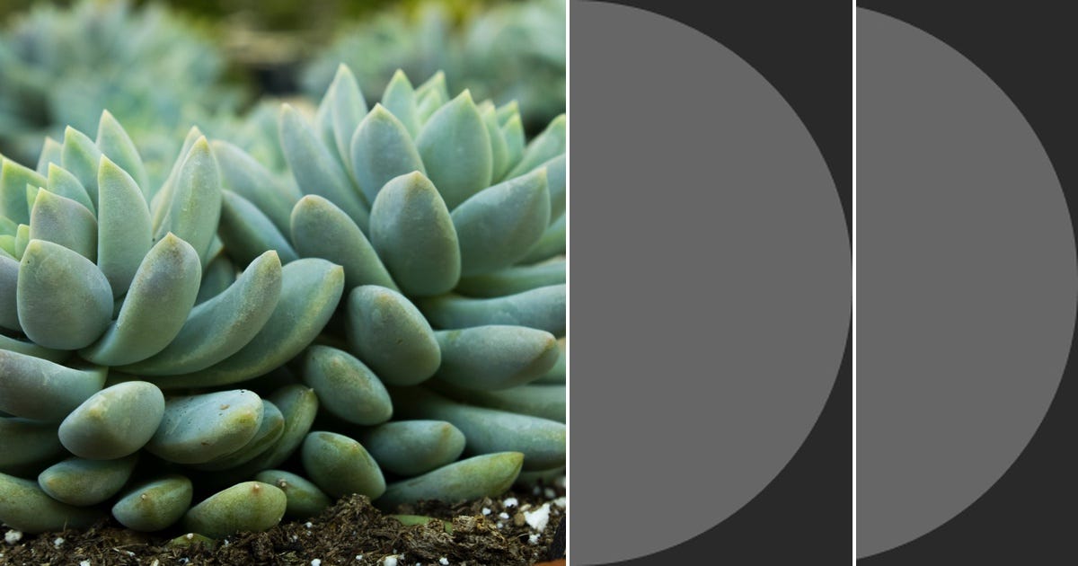 List: BigQuery | Curated by Matthew Fraser | Medium