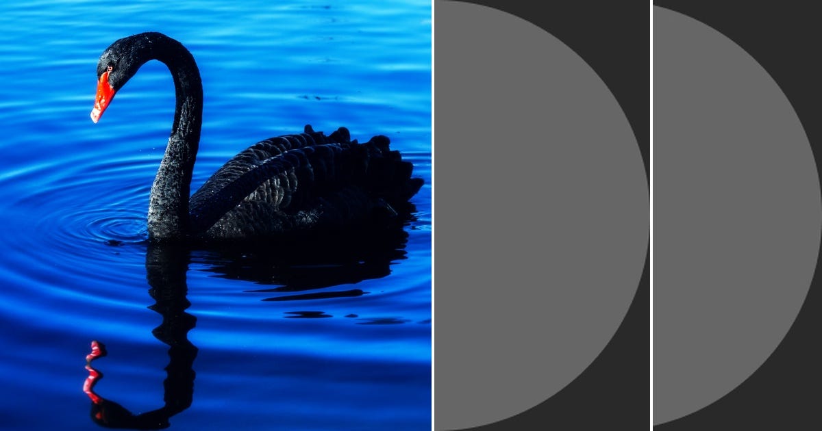 List: Crypto | Curated by Kevin Litt | Medium