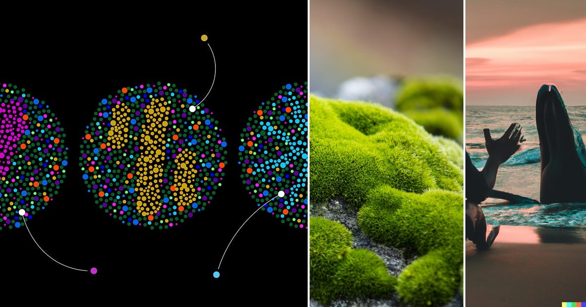 List: Science | Curated by JP Paz Soldan | Medium