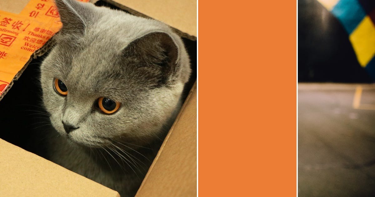 List: Kotlin | Curated by Kai Cilliers | Medium