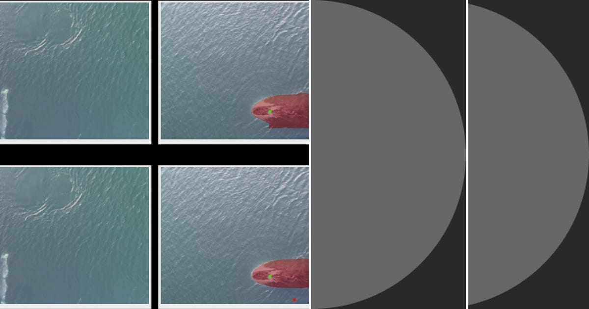 List: Interactive Segmentation | Curated by Vladislav Efremov, MD | Medium