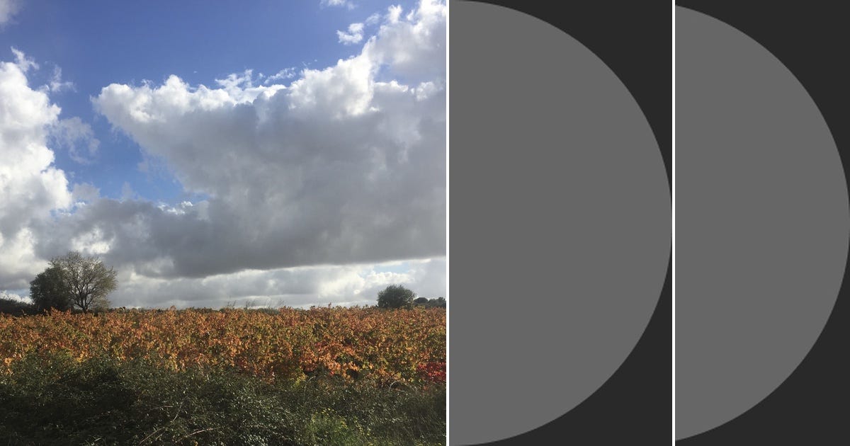 List: Travel | Curated by Greta Lynn Cuilty | Medium