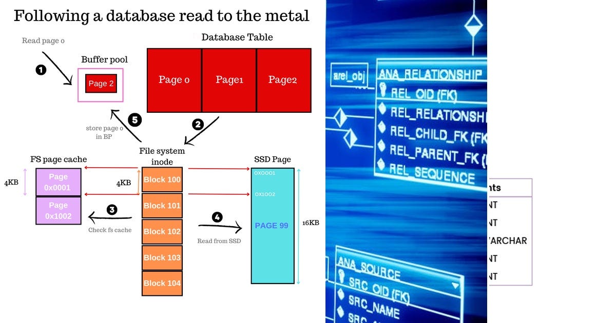 List: Database | Curated by Abdallah Elsaed | Medium