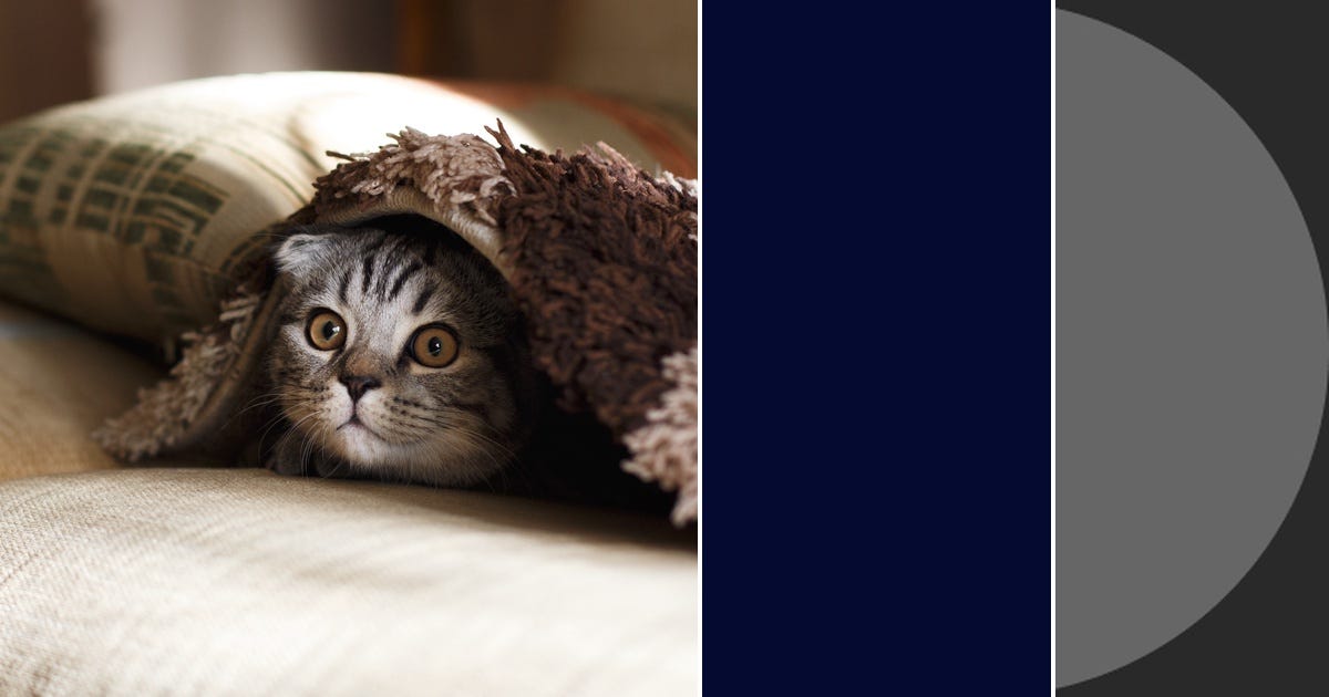 List: Js topics | Curated by Codewithmohit | Medium