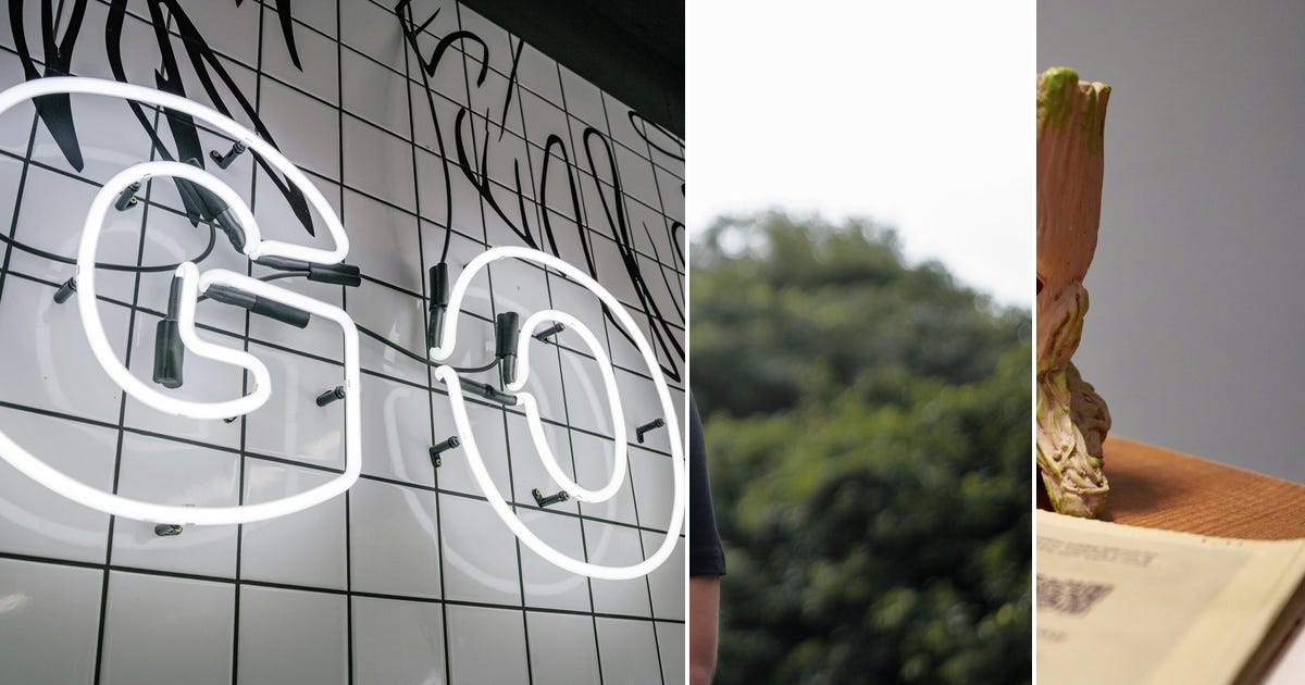 List: 241229 | Curated by Emily S | Medium