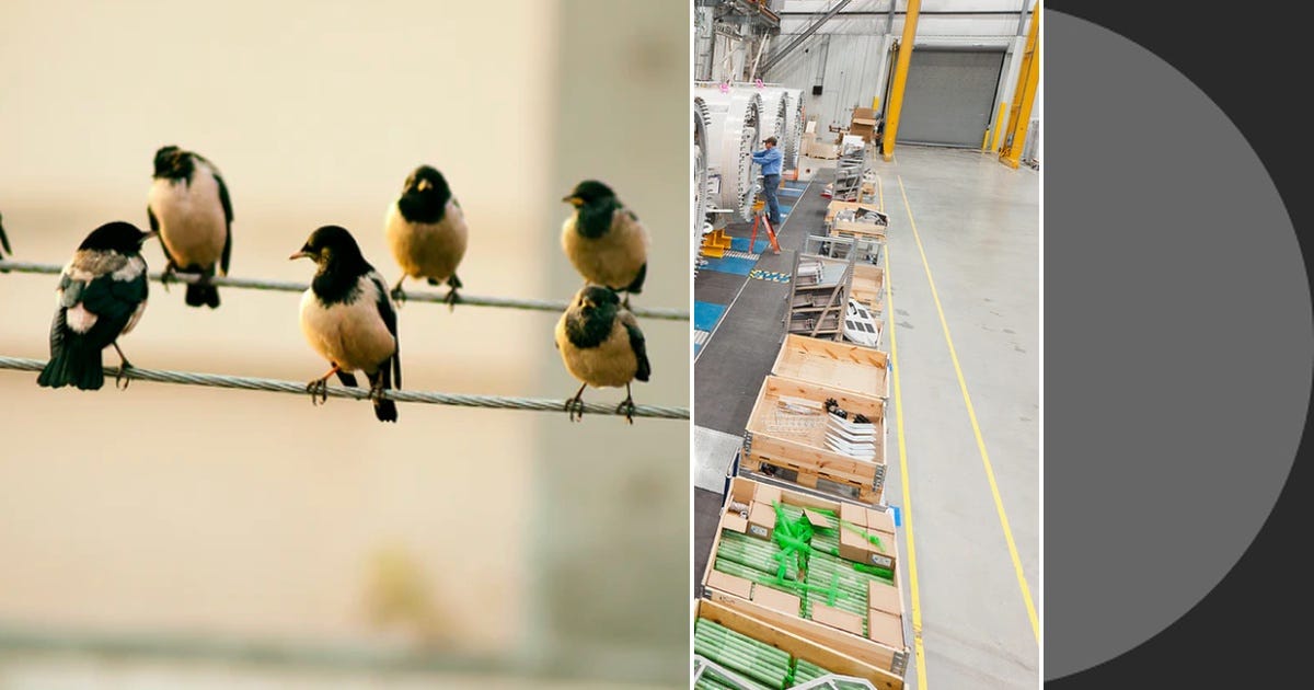 List: TS | Curated by johny | Medium