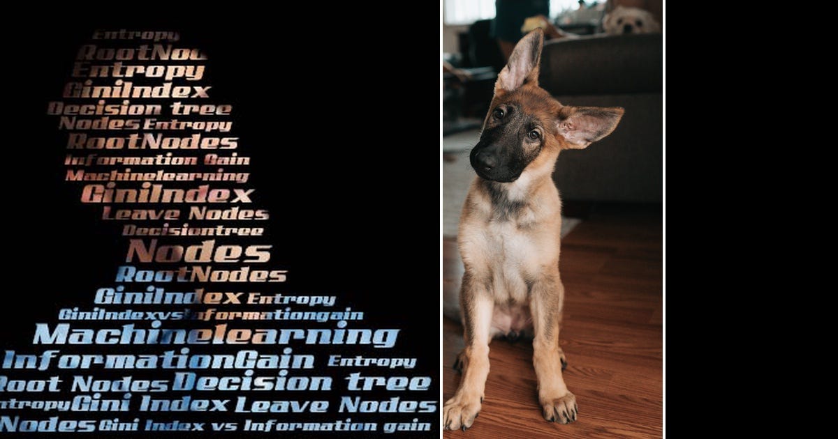 List: Interpretation | Curated by Miryang Kim | Medium