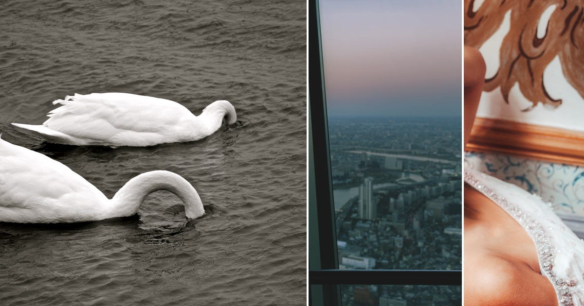 List: Film and TV | Curated by Jeff Hayward | Medium