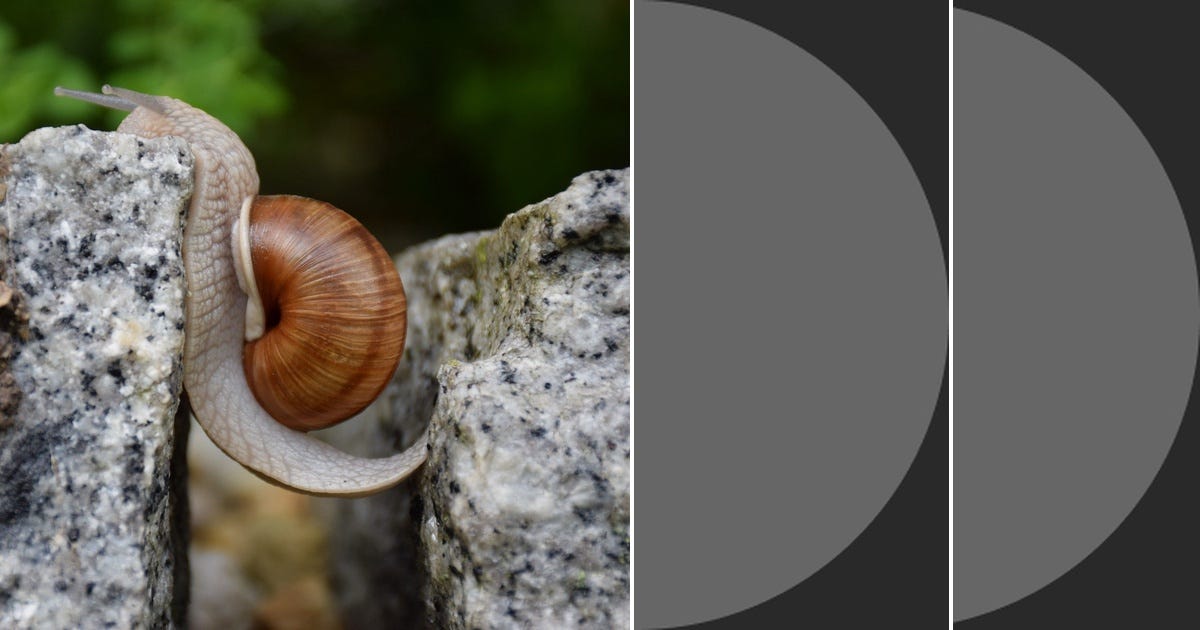 List: Julia | Curated by Ling-Po Shih | Medium