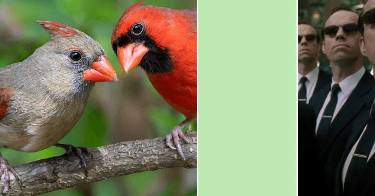 List: LLM | Curated by Francisco Becker | Medium