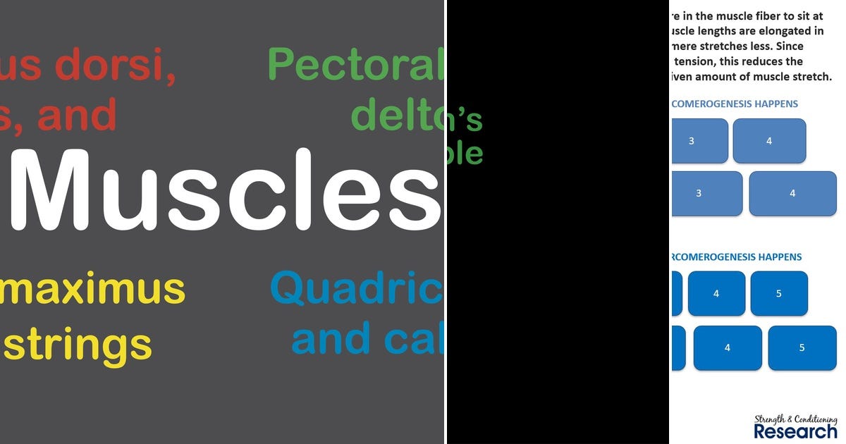 List: Gym | Curated by Cameron Hemphill | Medium