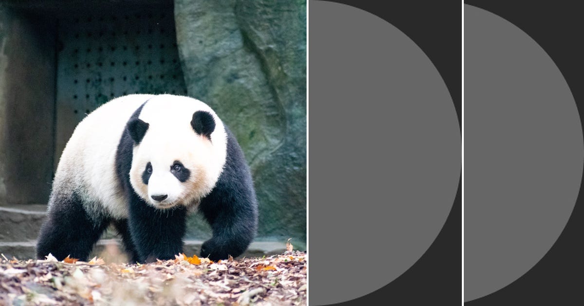 List: Time-Series | Curated by Alexander Schwarz | Medium